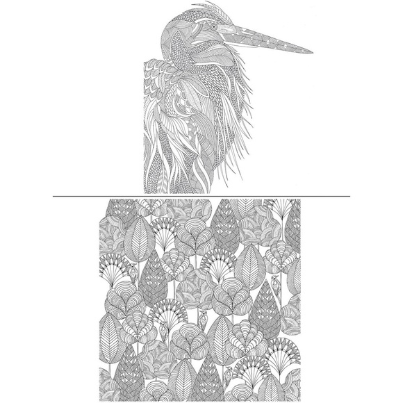 Lark Crafts | Office | New The Intricate Animal Kingdom Coloring Book ...
